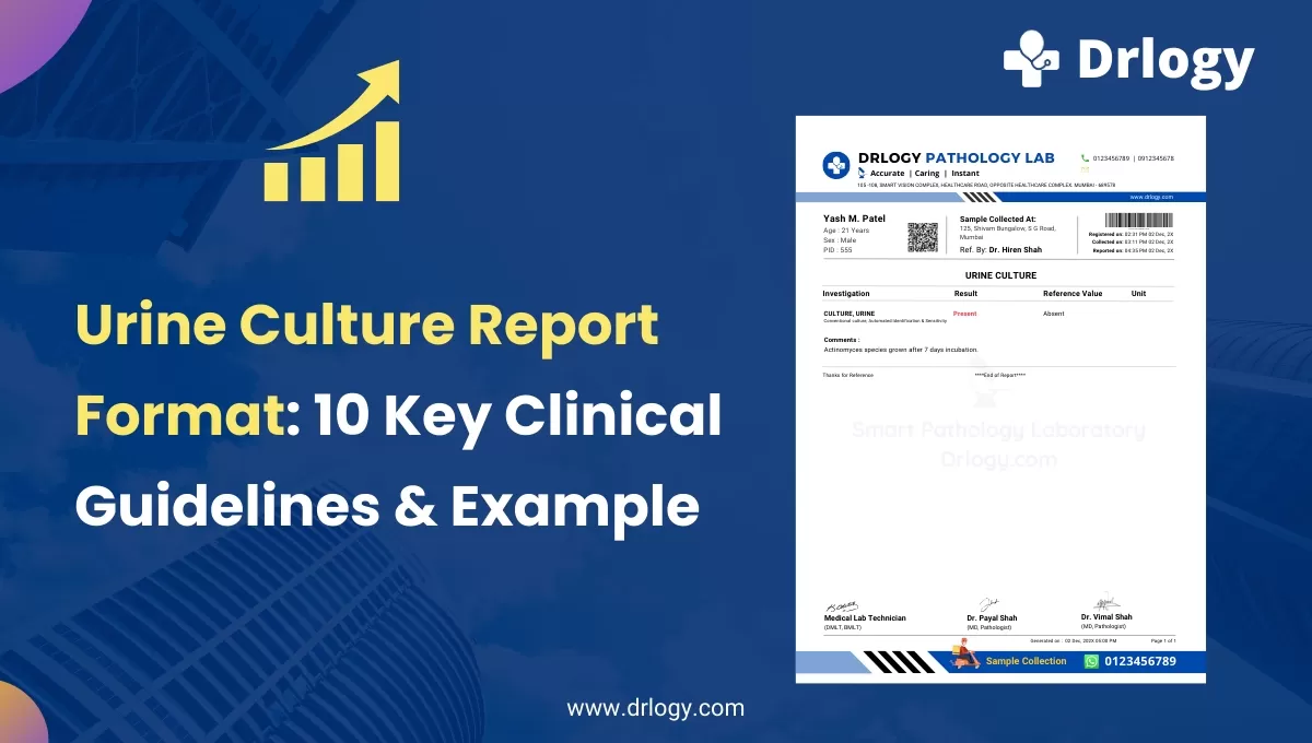 Urine Culture Report Format 10 Key Clinical Guidelines Example Drlogy Urine Culture Report Format 10 Key Clinical Guidelines Example Drlogy