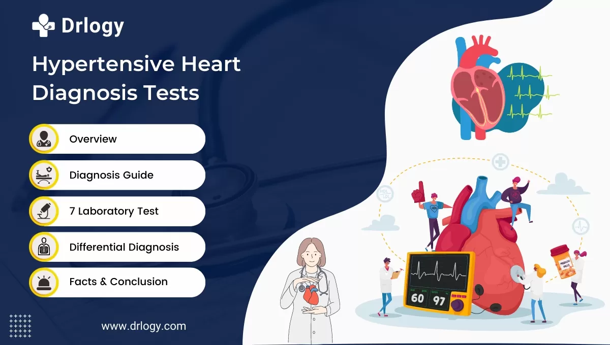 Hypertensive Heart Disease Diagnosis 7 Simple Test For Heart Health Hypertensive Heart Disease Diagnosis 7 Simple Test For Heart Health