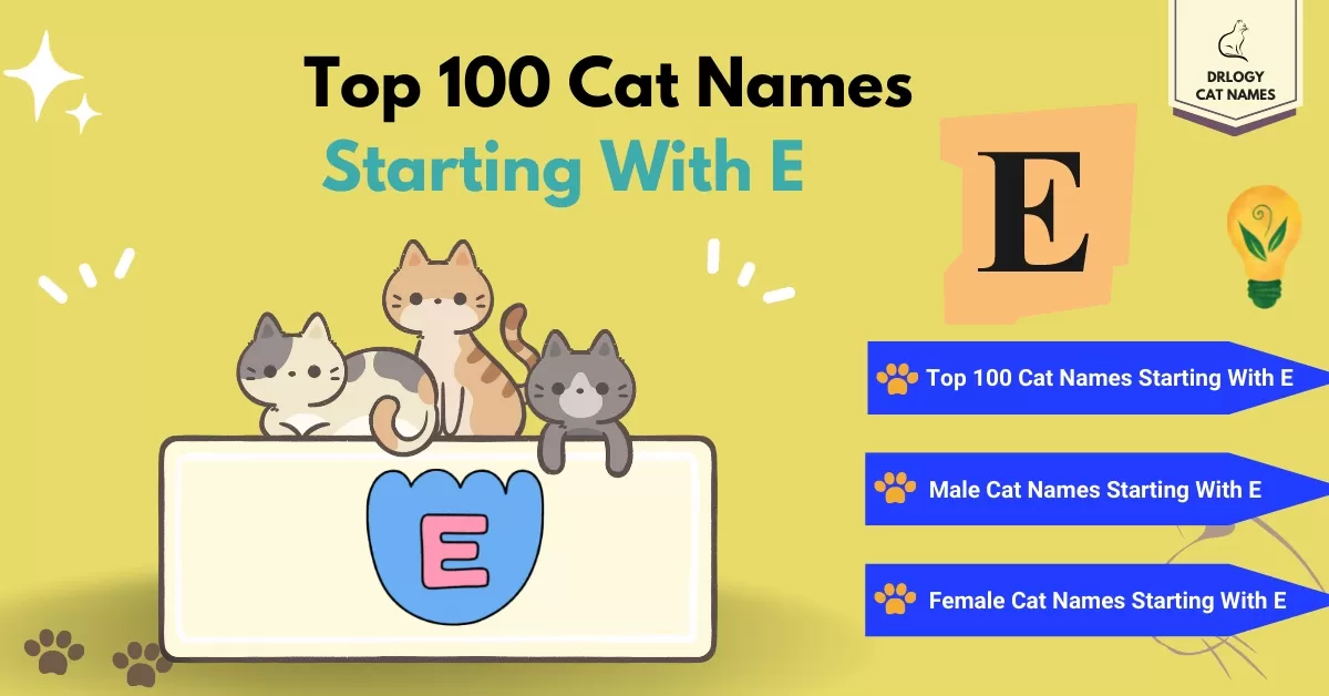 The Best Cat Names Ever The Best Cat Names Ever
