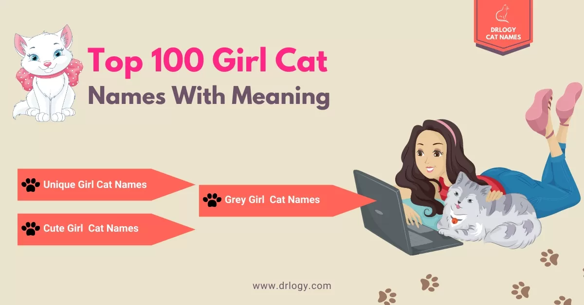 Top 100 Unique Male Cat Names With Meaning Drlogy Cat Names Drlogy Top 100 Unique Male Cat Names With Meaning Drlogy Cat Names Drlogy