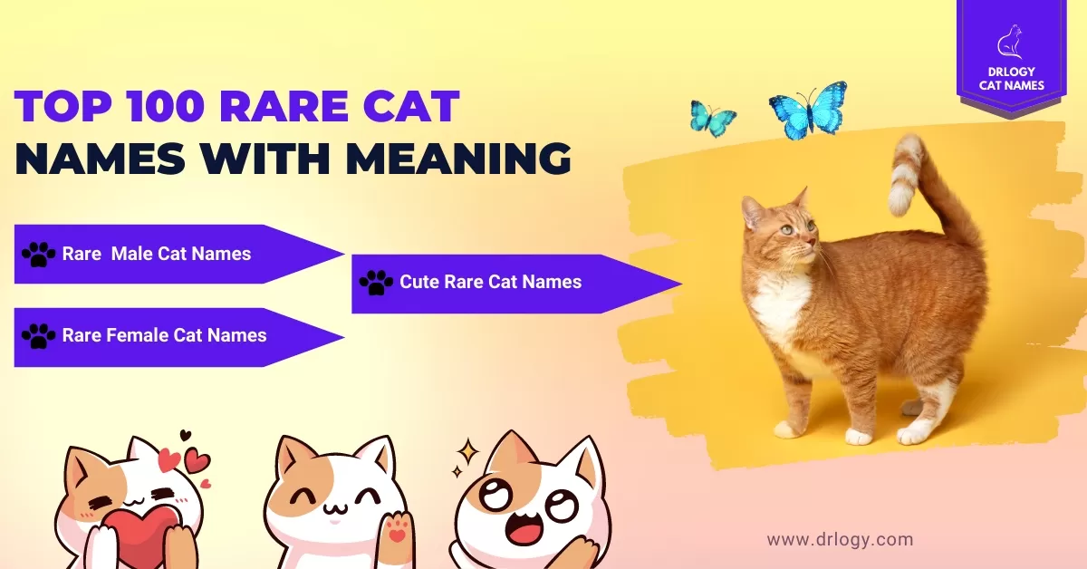 Top 100 Rare Cat Names With Meaning Drlogy Cat Names Top 100 Rare Cat Names With Meaning Drlogy Cat Names