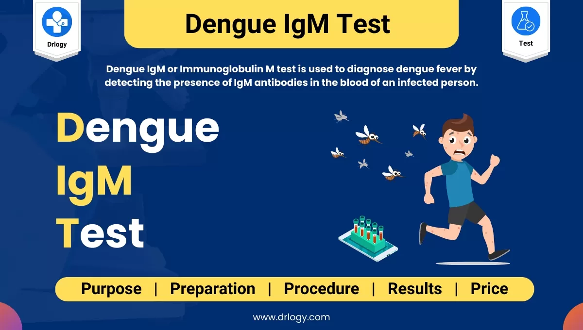 What is IgG positive in dengue?