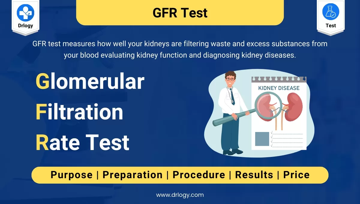 What Is An Estimated Glomerular Filtration Rate 52 OFF What Is An Estimated Glomerular Filtration Rate 52 OFF
