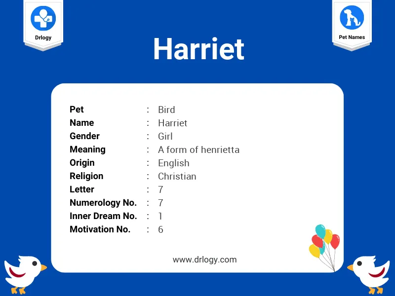 Harriet Bird Name Meaning & Info - Drlogy