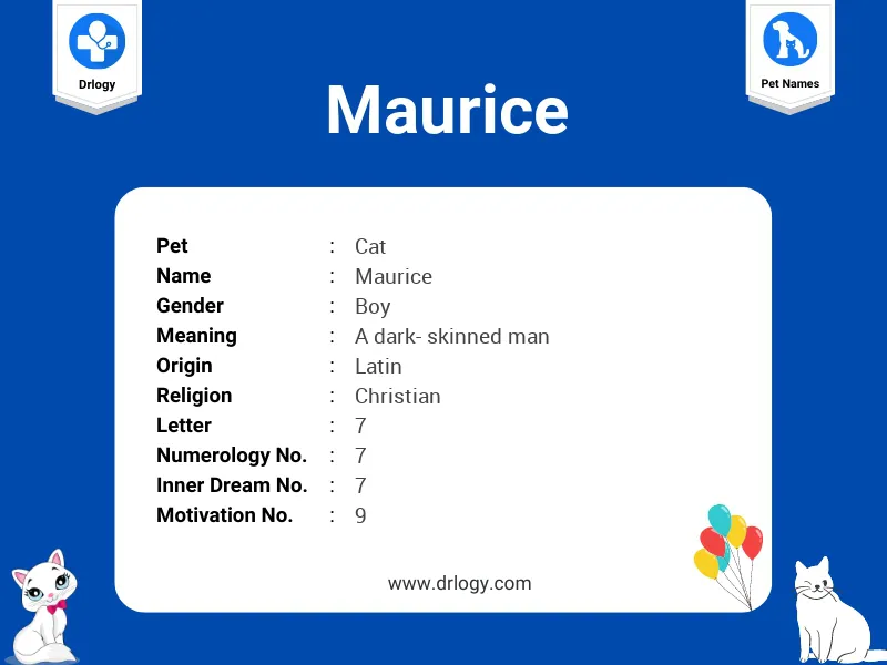 Maurice Cat Name Meaning & Info - Drlogy