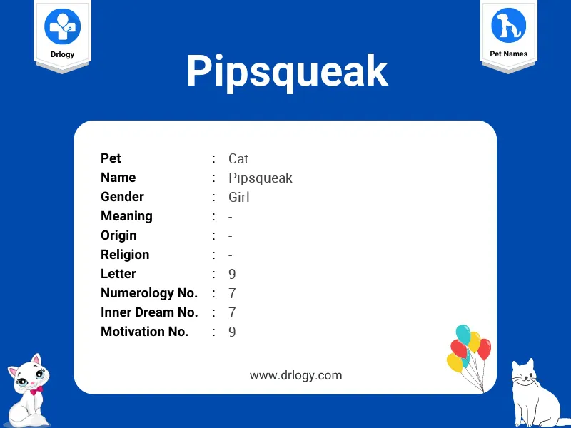 Pipsqueak Cat Name Meaning & Info - Drlogy