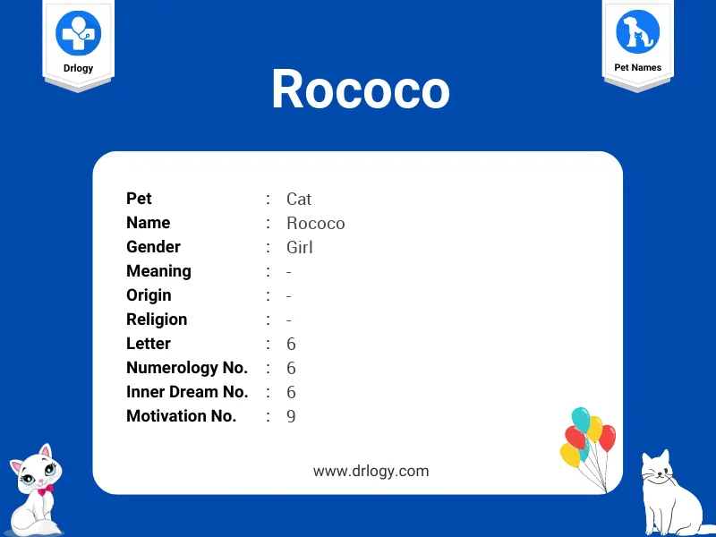 Rococo Cat Name Meaning & Info - Drlogy