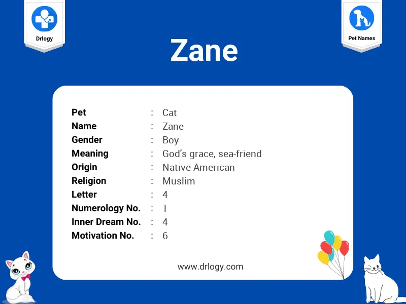 Zane Cat Name Meaning & Info - Drlogy
