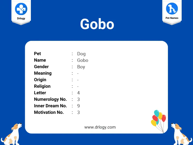 Gobo Dog Name Meaning & Info - Drlogy