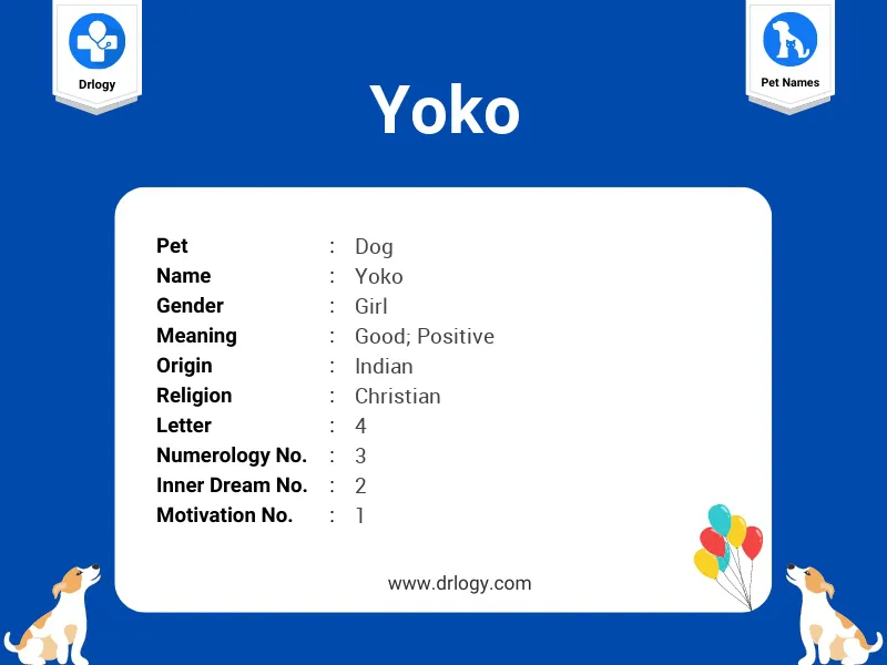 Yoko Dog Name Meaning & Info - Drlogy